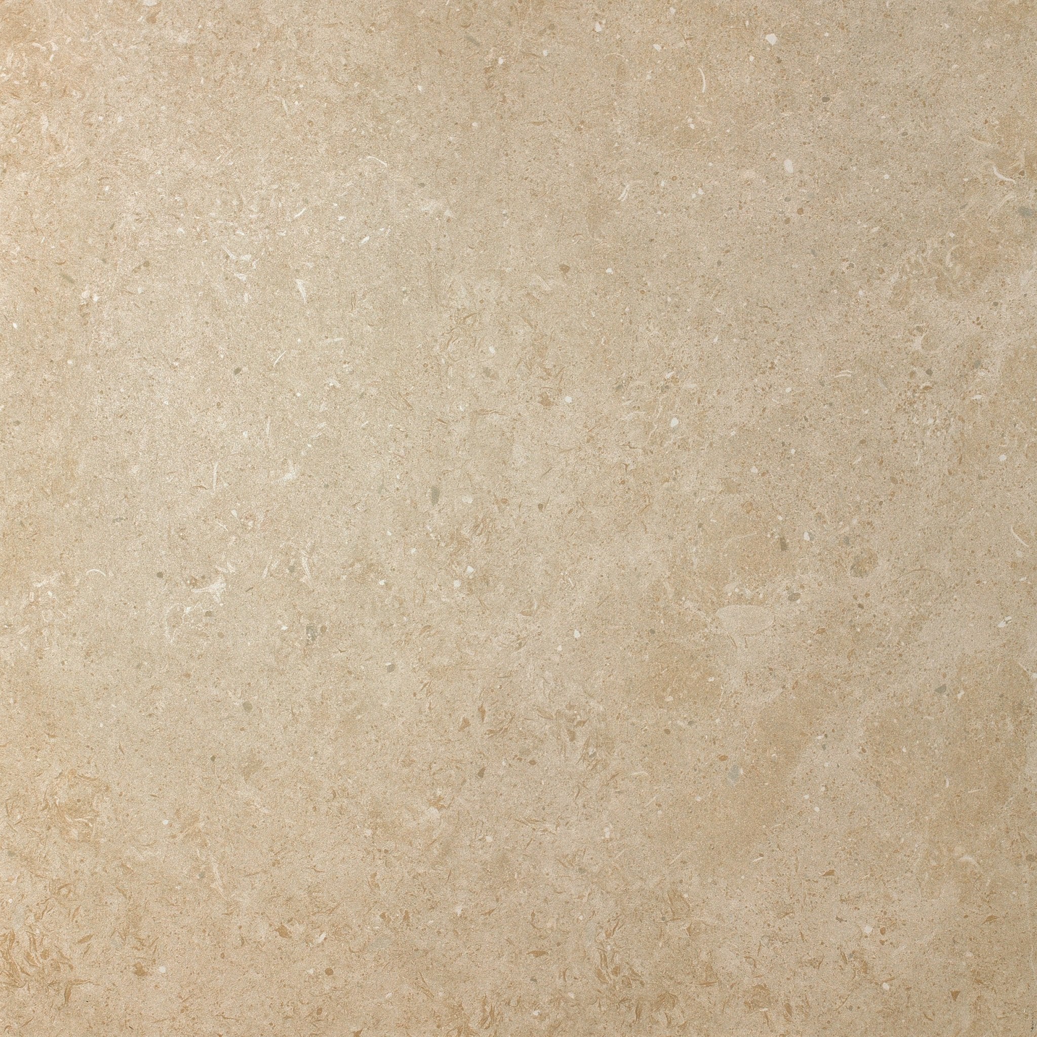 Stone Look Tile Bera&Beren - Beren Biscuit | Interni Austin