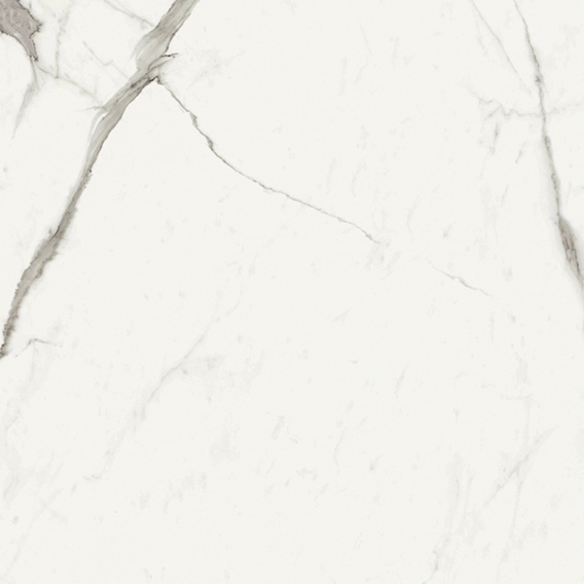 Marble Look Tile Boutique - Calacatta | Interni Austin