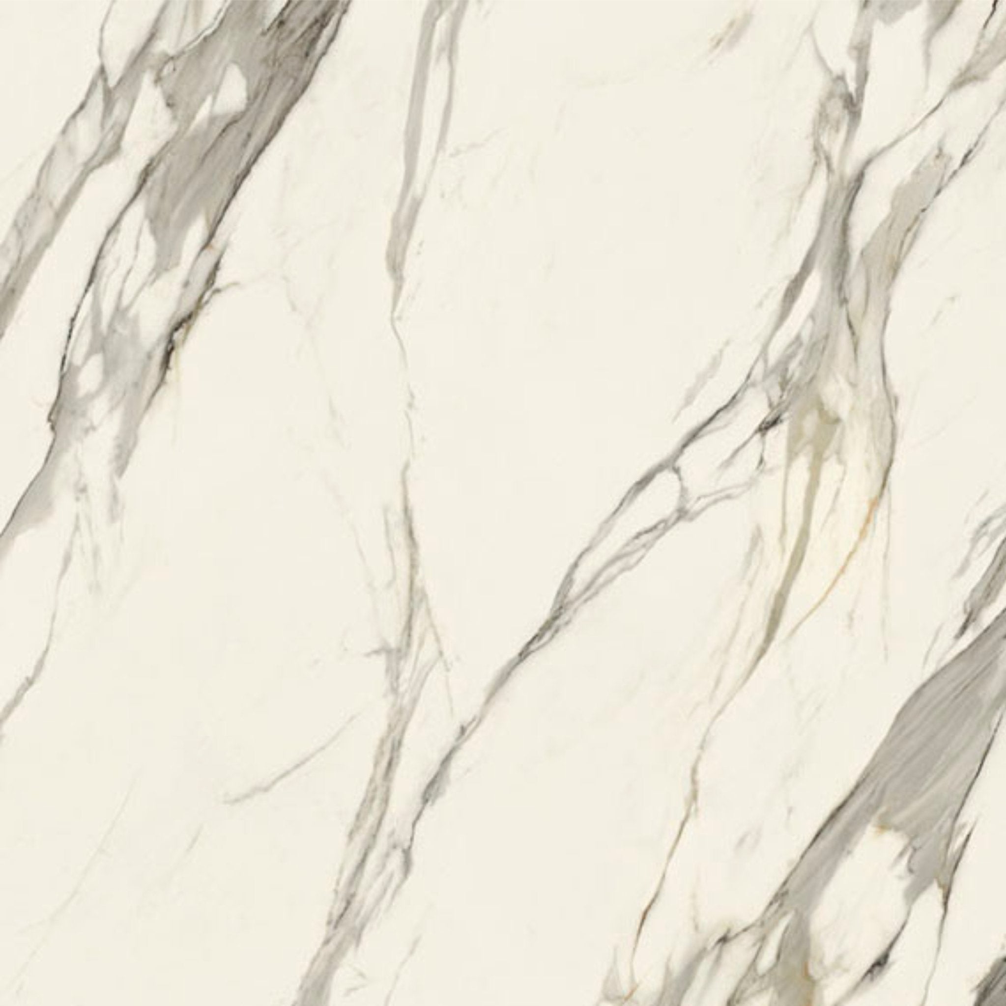 Marble Look Tile Boutique - Calacatta Oro | Interni Austin