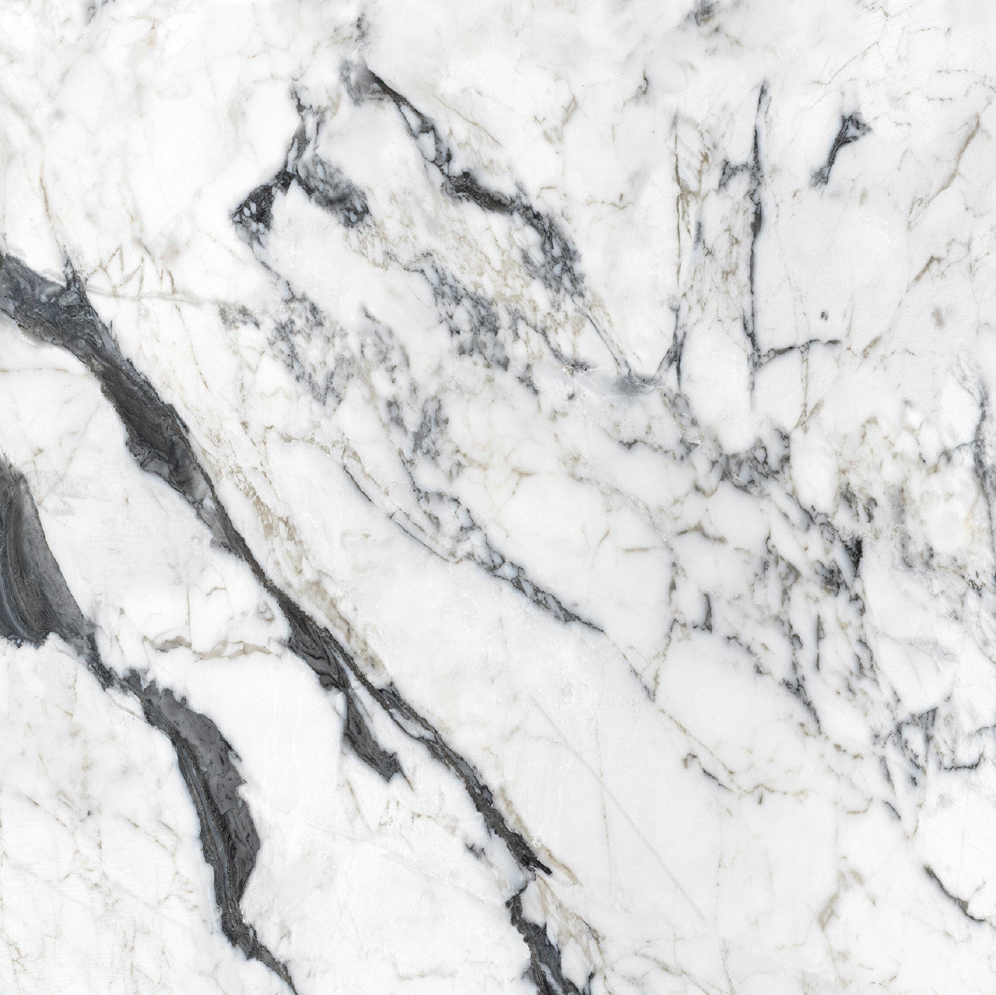 Marble Look Tile Les Bijoux - Calacatta altissimo | Interni Austin