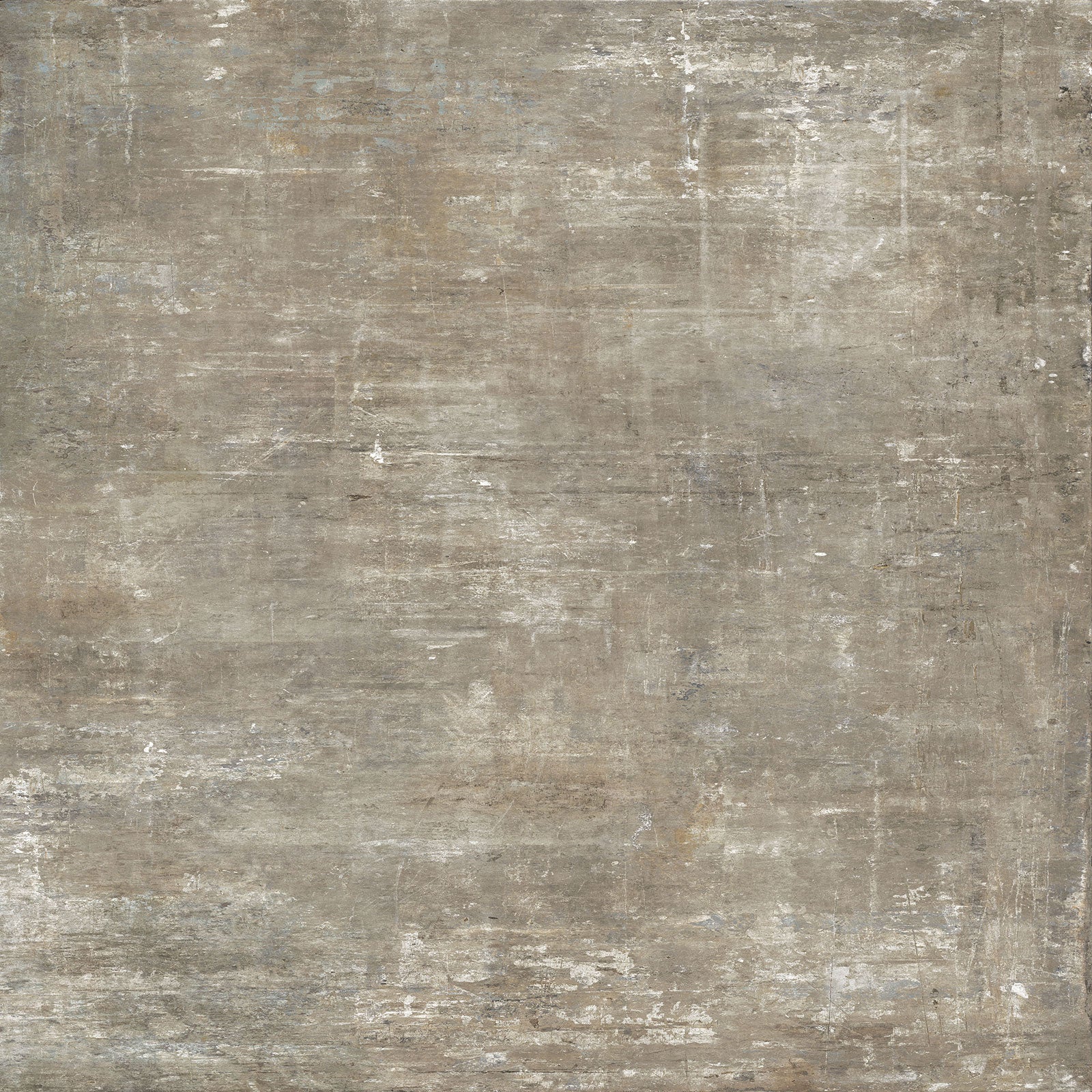 Flooring of concrete Rondine - Murales | Interni Austin