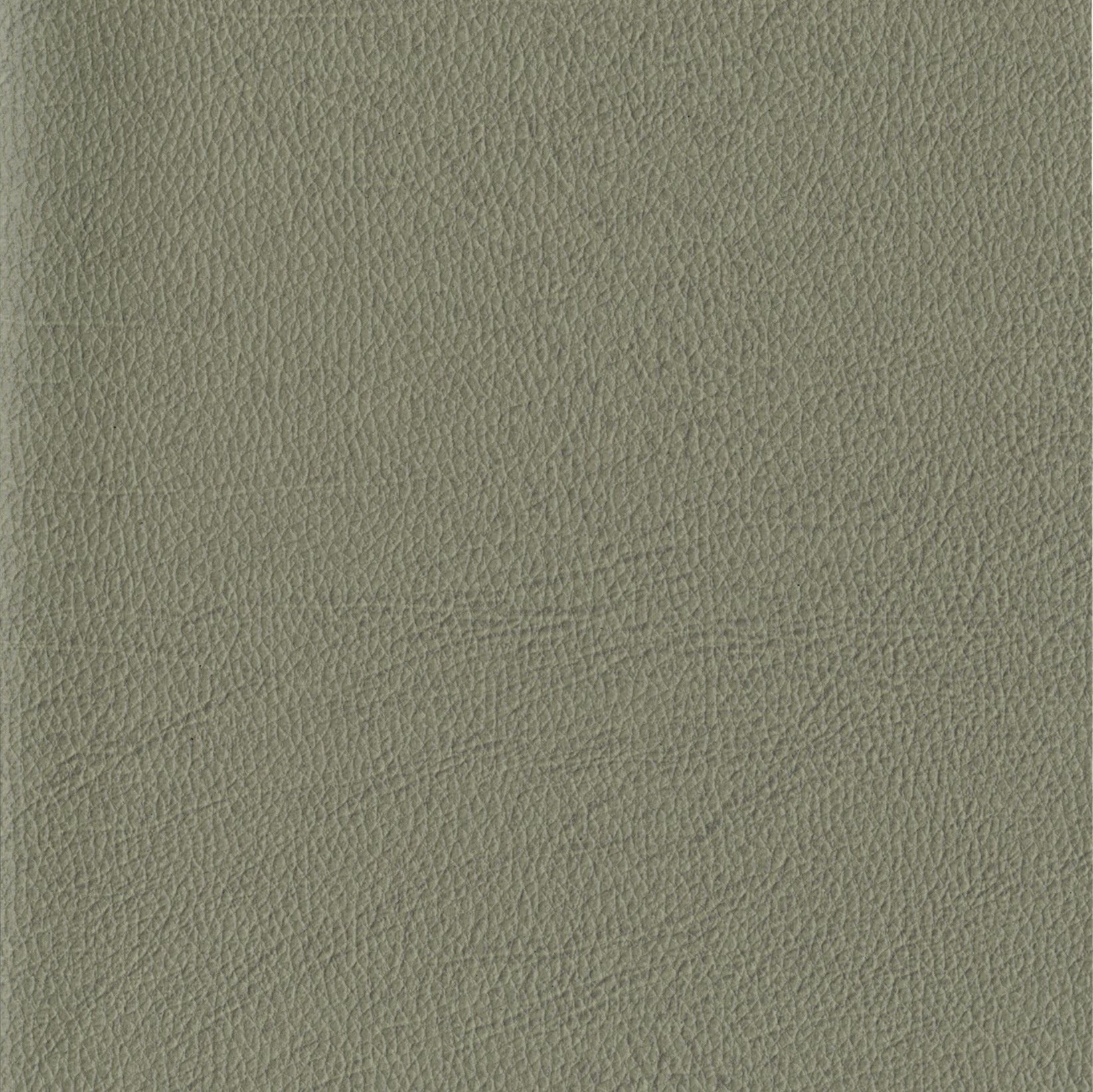Wallpaper Tanner